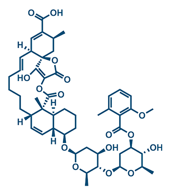 Natural Macrocyclic Compounds - AnalytiCon Discovery