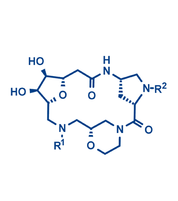 MACROx Next Generation Macrocycles - AnalytiCon Discovery