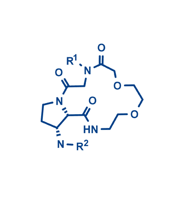 MACROx Next Generation Macrocycles - AnalytiCon Discovery