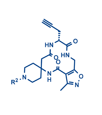 MACROx Next Generation Macrocycles - AnalytiCon Discovery