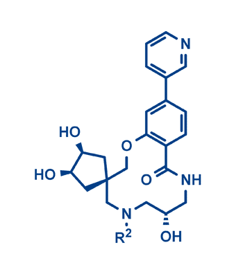 MACROx Next Generation Macrocycles - AnalytiCon Discovery
